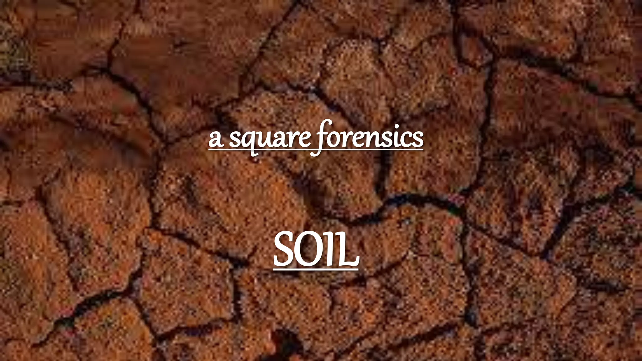 Forensic importance of soil | PPTX