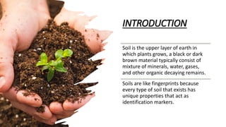 Forensic importance of soil | PPTX