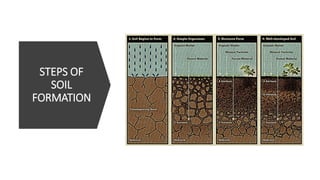 Forensic importance of soil | PPTX