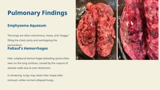 Forensic Investigation of Drowning.pptx. | PPTX