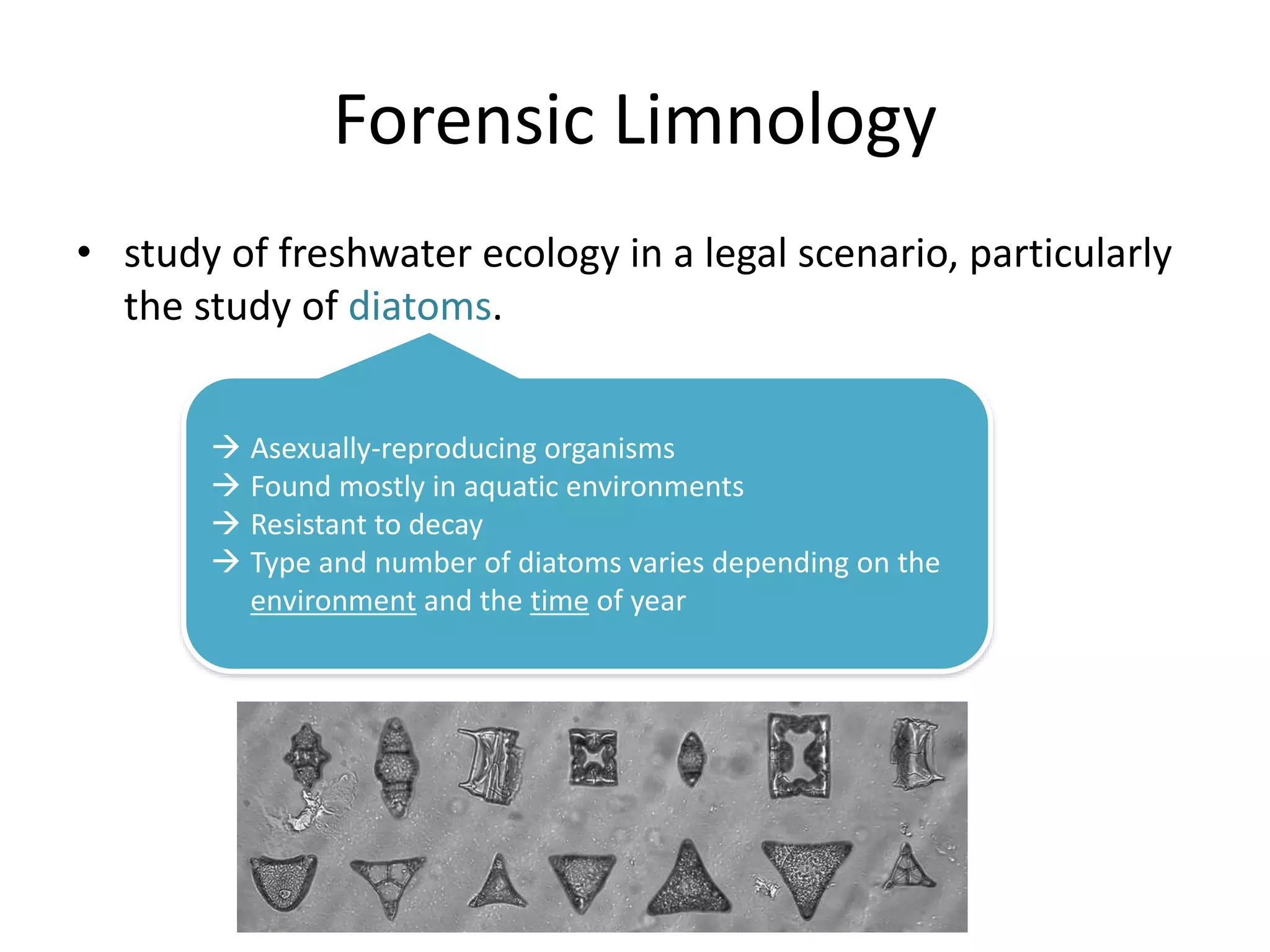 Forensic limno | PPT