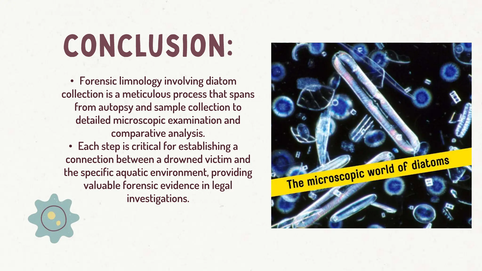 Forensic limnology of diatoms by Sanjai.pptx
