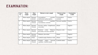 Forensic limnology of diatoms by Sanjai.pptx