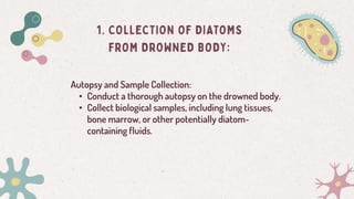Forensic limnology of diatoms by Sanjai.pptx