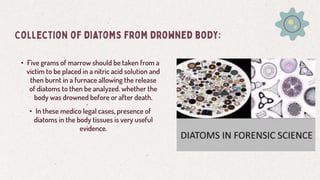 Forensic limnology of diatoms by Sanjai.pptx