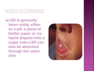 Forensic lsd | PPT