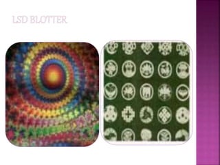 Forensic lsd | PPT