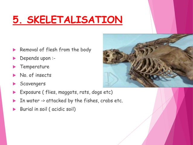 Forensic medicene,putrefaction | PPTX