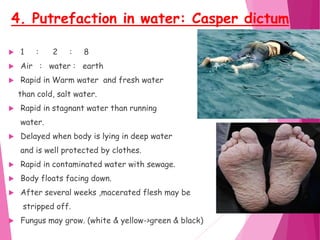 Forensic medicene,putrefaction | PPT