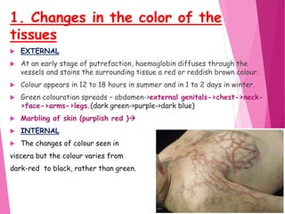 Forensic medicene,putrefaction