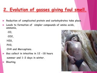 Putrefaction Bloating