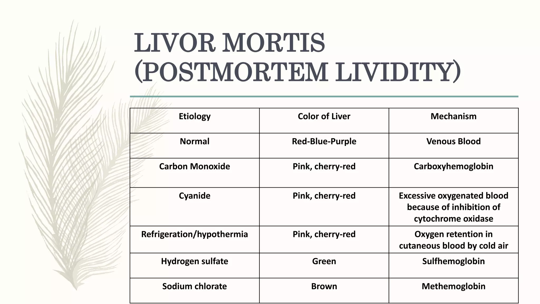 FORENSIC MEDICINE - STAGES OF DEATH | PPTX