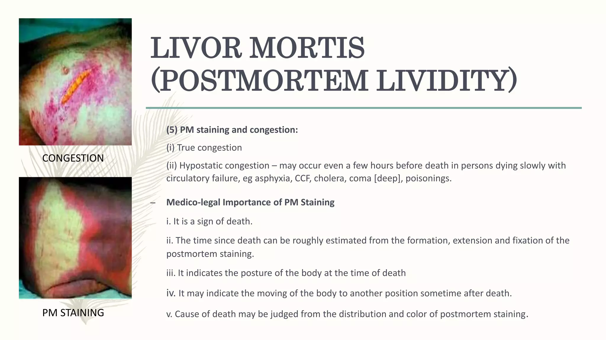 FORENSIC MEDICINE - STAGES OF DEATH | PPTX