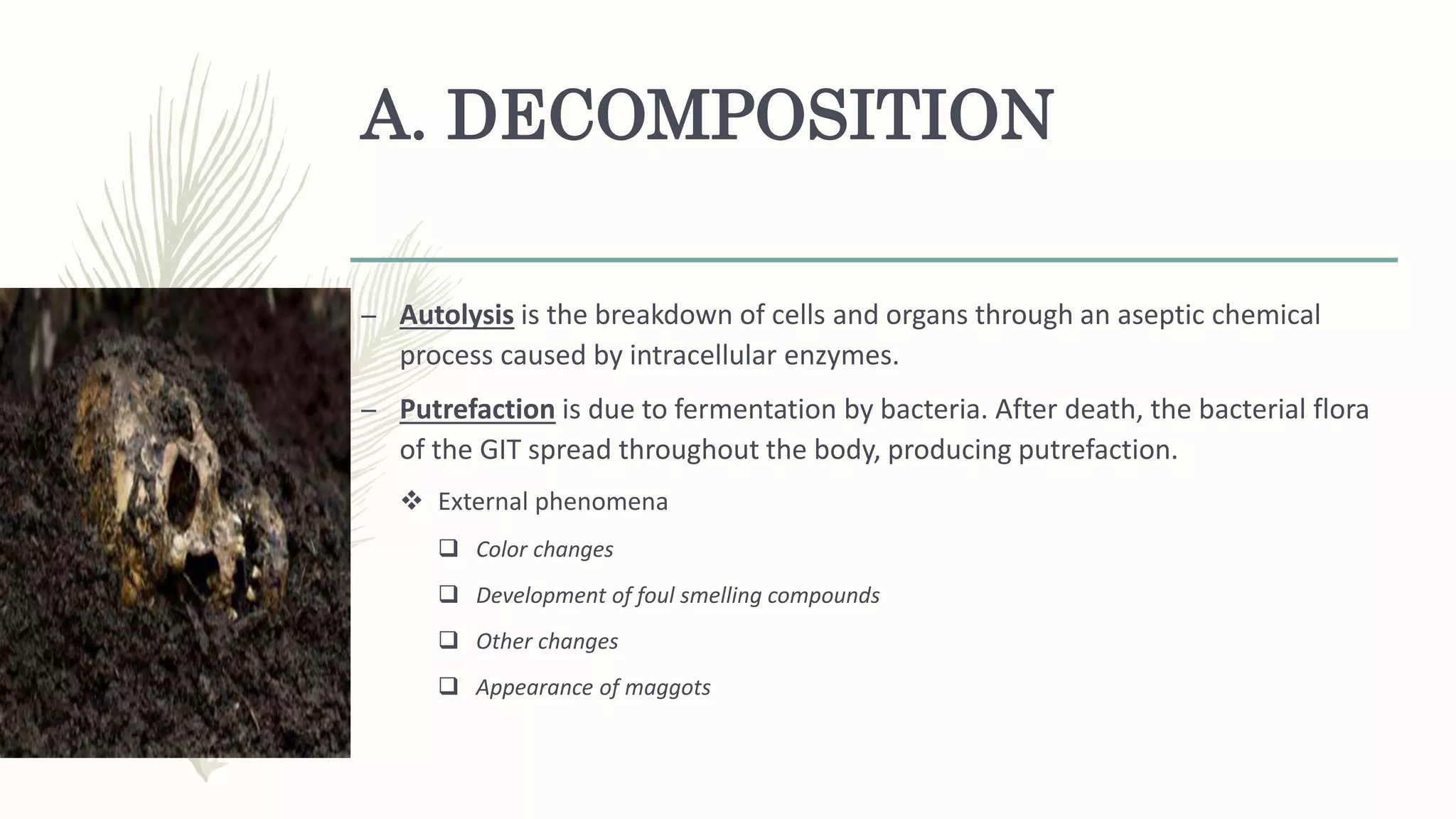 FORENSIC MEDICINE - STAGES OF DEATH | PPTX