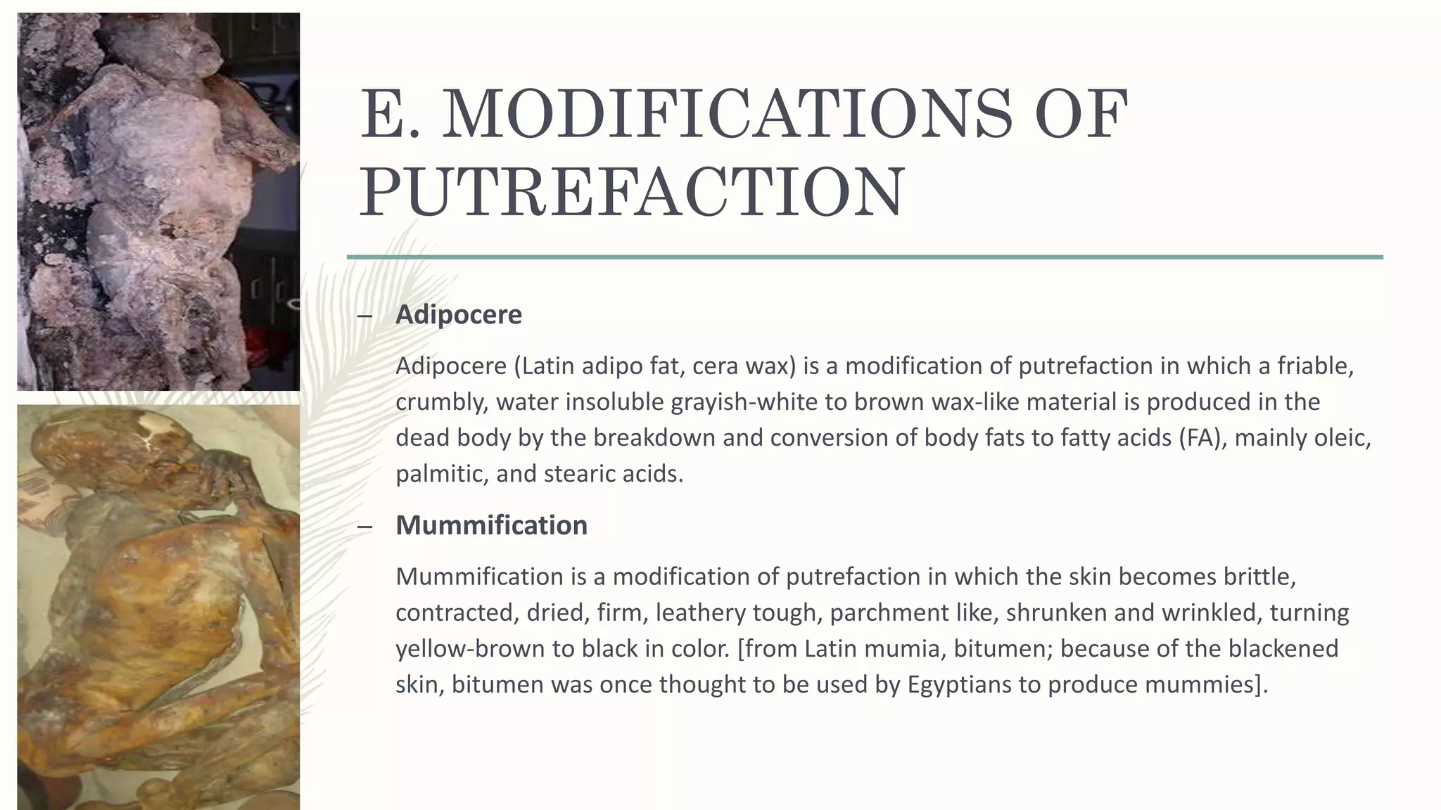FORENSIC MEDICINE - STAGES OF DEATH | PPTX