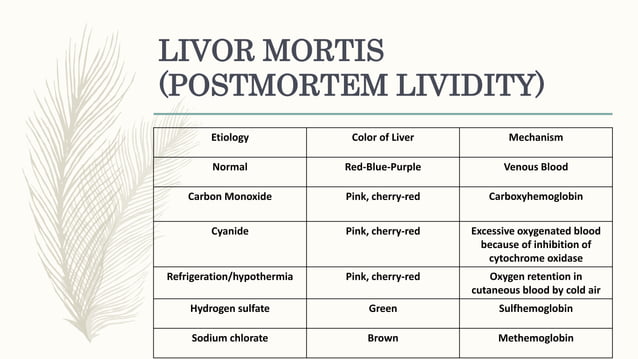 FORENSIC MEDICINE - STAGES OF DEATH | PPTX