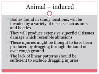 Forensic medicine post mortem artefact | PPT