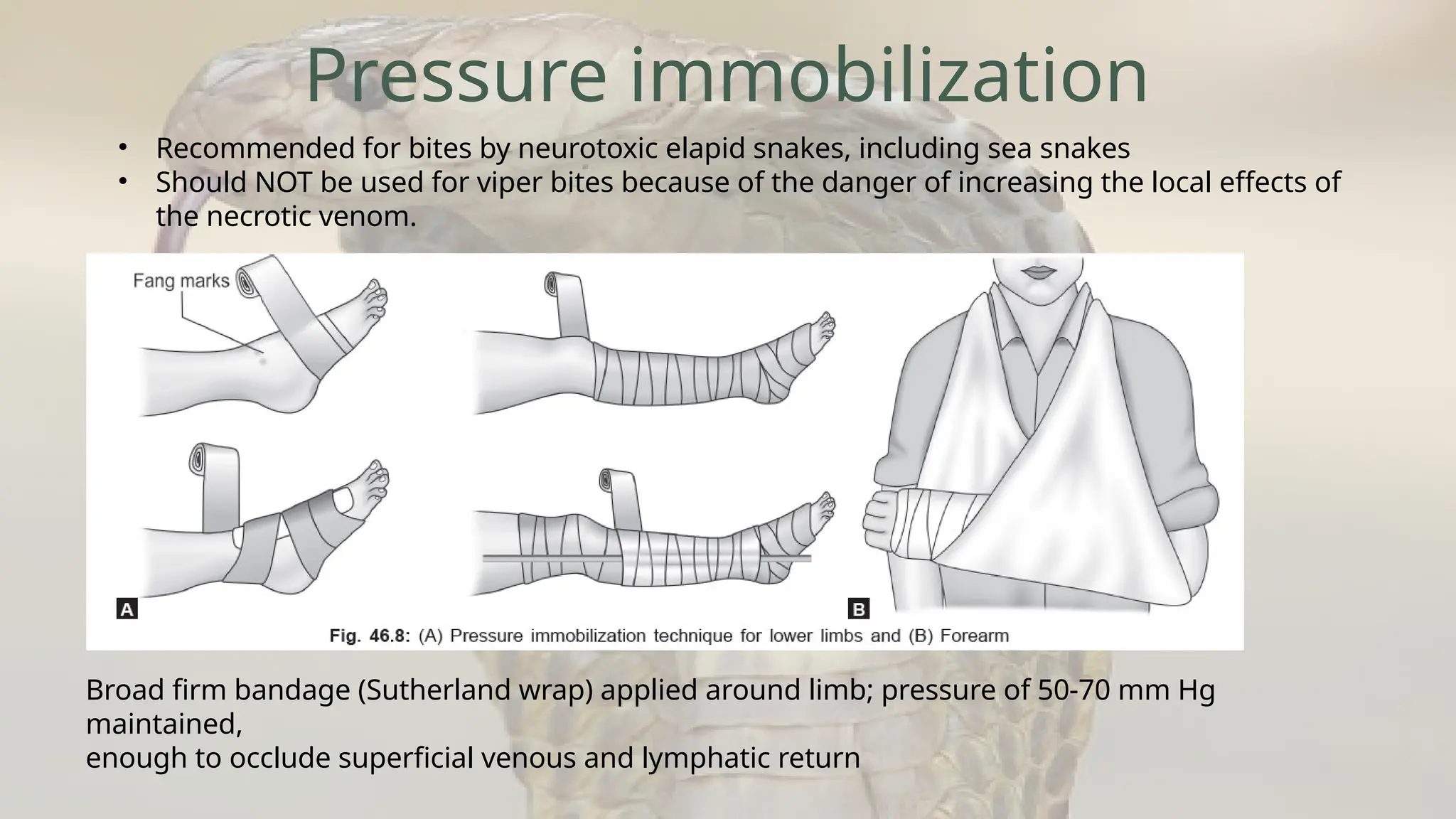 Forensic Medicine Presentation_Snake Bite.pptx_20240807_024821_0000[1].pptx