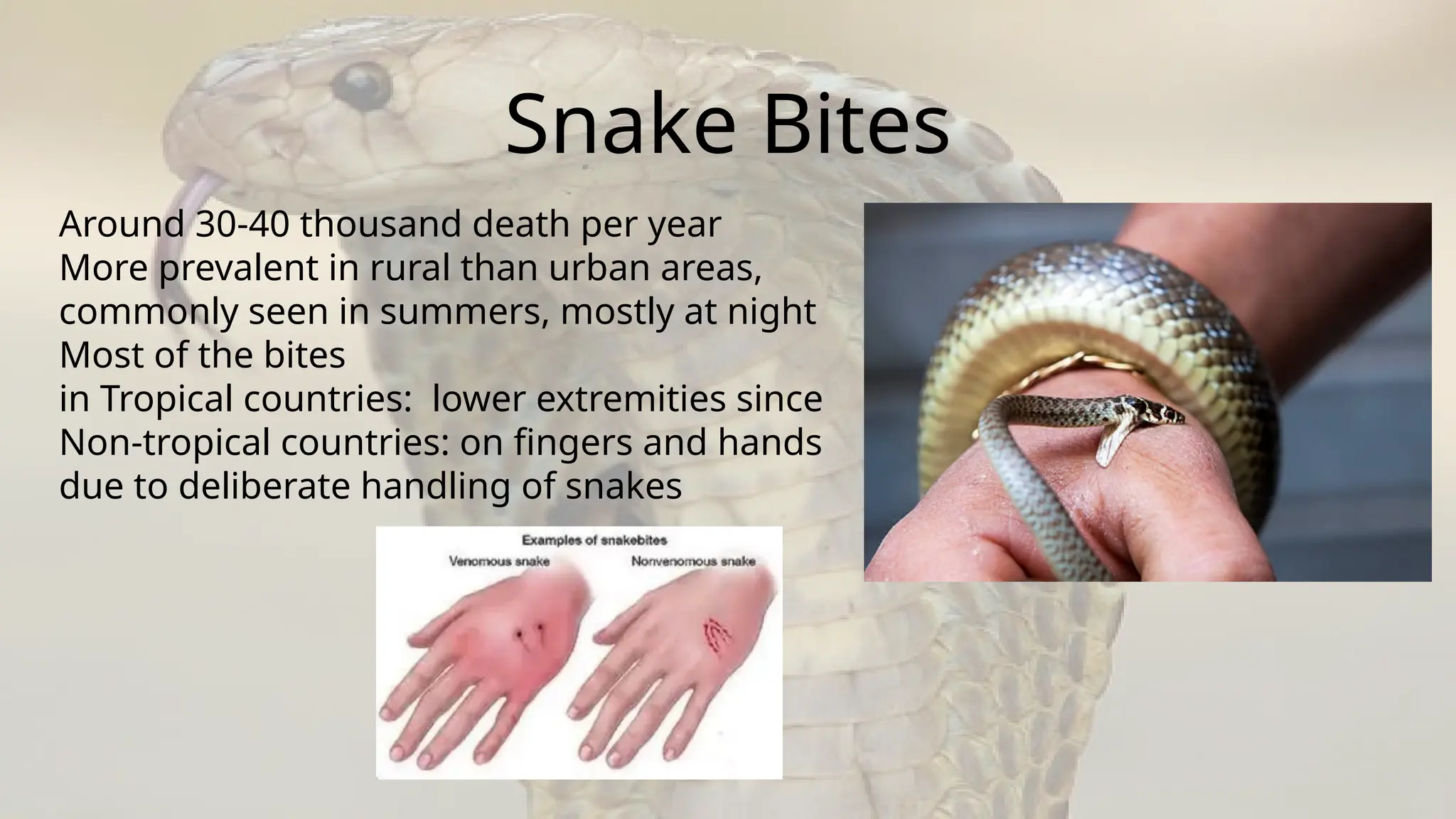 Forensic Medicine Presentation_Snake Bite.pptx_20240807_024821_0000[1].pptx