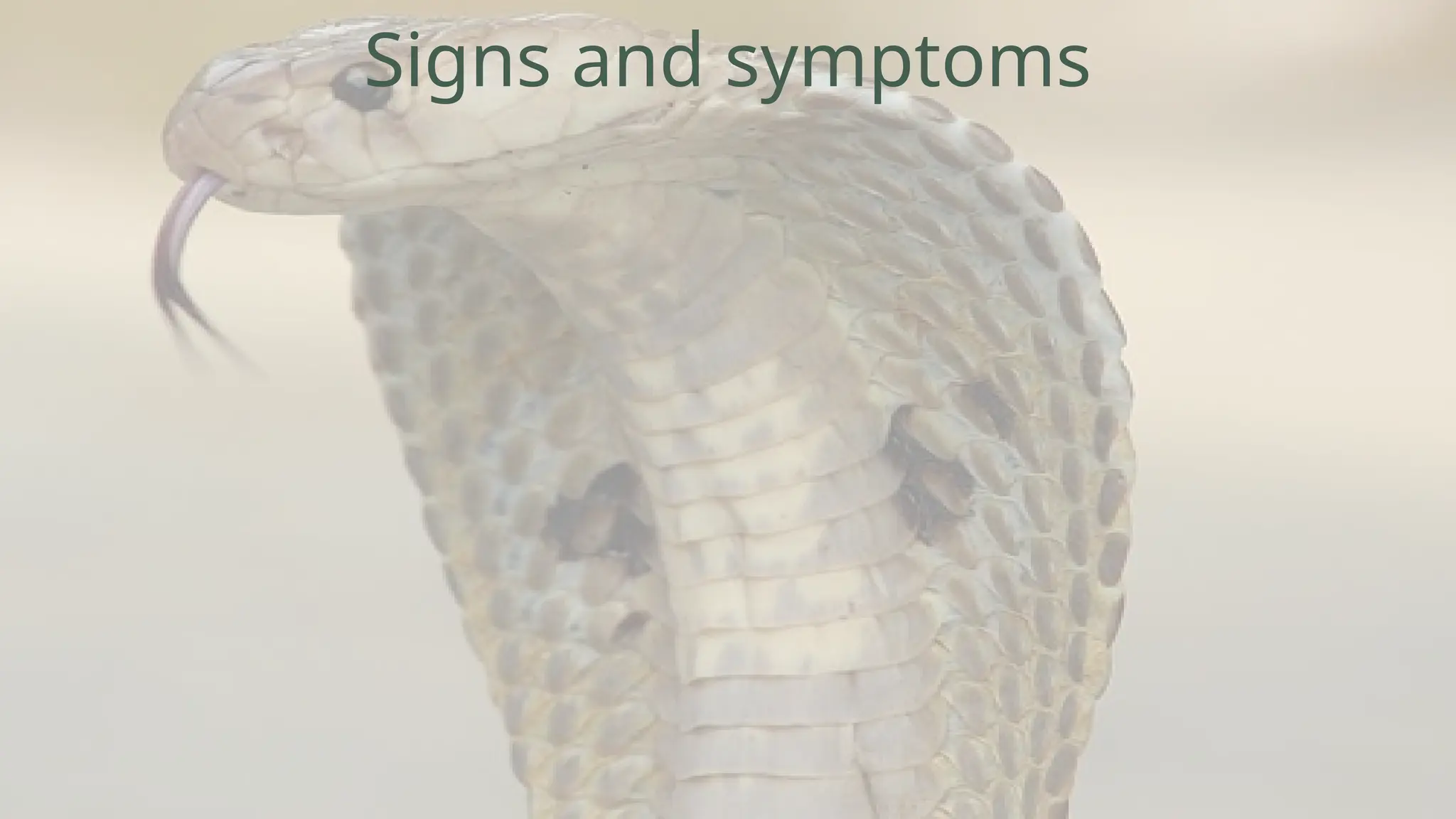 Forensic Medicine Presentation_Snake Bite.pptx_20240807_024821_0000[1].pptx