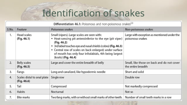 Forensic Medicine Presentation_Snake Bite.pptx_20240807_024821_0000[1].pptx