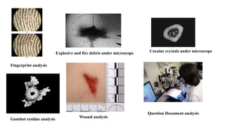 Forensic Microscopy And Its Applications Pptx