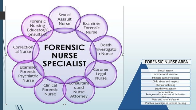 Forensic Nursing powerpoint presentation | PPTX | Injuries | Diseases ...