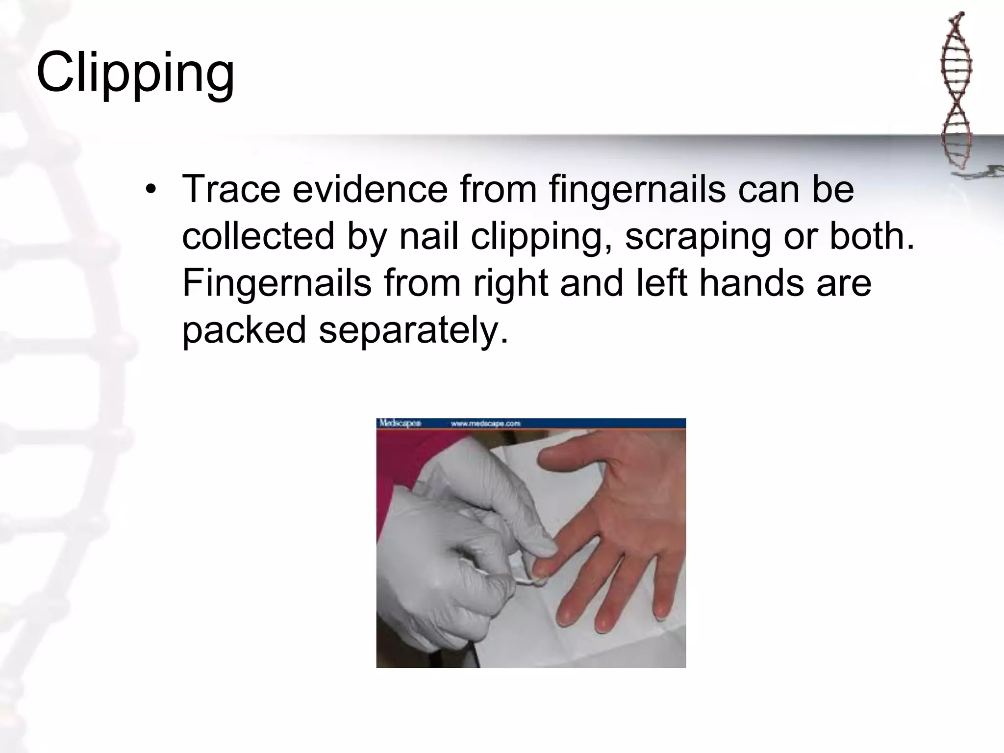 Forensic nursing ppt | PDF