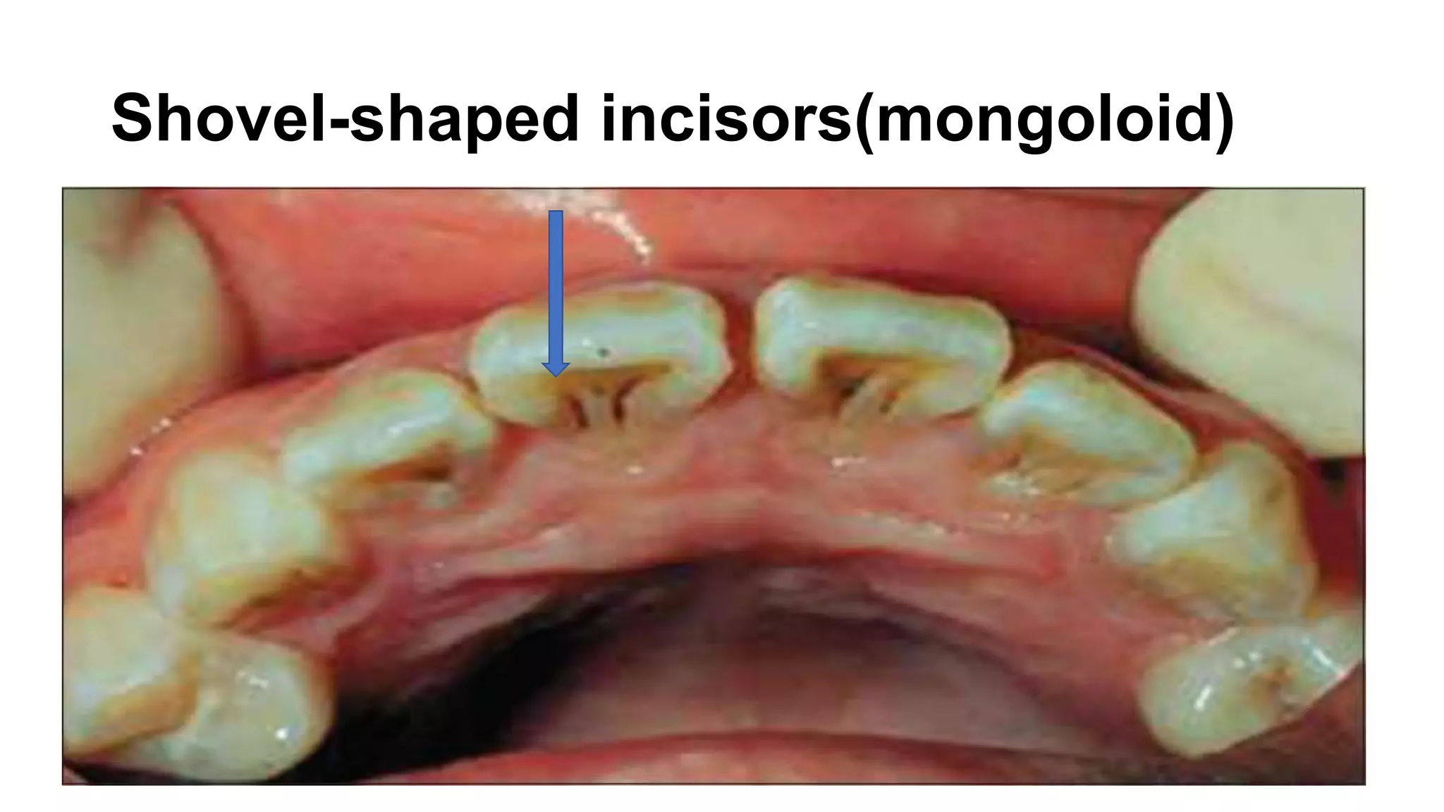 forensic odontogy.pptx