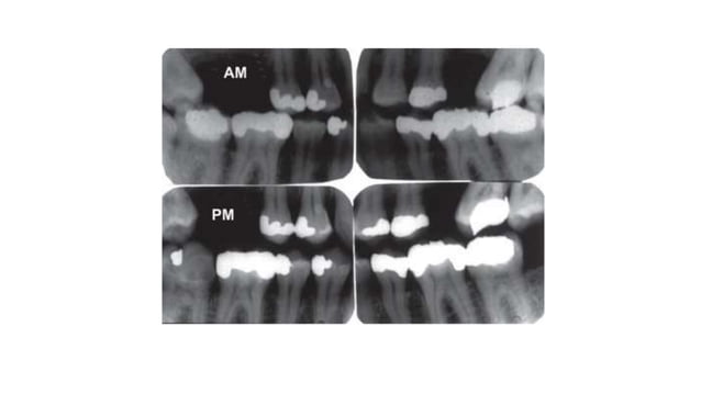 forensic odontogy.pptx