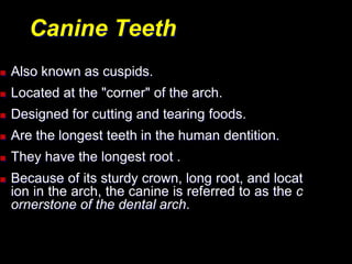 Forensic odontology | PPT
