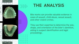 Emerging Frontiers of Forensic Odontology: Implications for Civil and ...