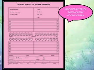 FORENSIC ODONTOLOGY - A NEW DIMENSION IN DENTAL ANALYSIS | PPTX