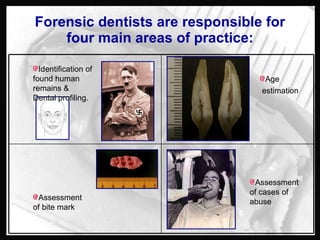 Forensic Odontology Dentistry | PPT