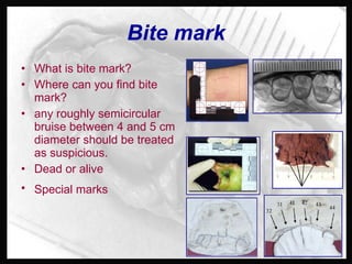 Forensic Odontology Dentistry | PPT
