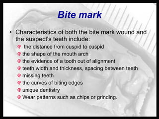 Forensic Odontology Dentistry | PPT