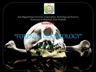 Forensic odontology ppt | PPTX | Dental Health | Diseases and Conditions