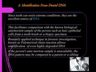 Forensic odontology ppt | PPTX | Dental Health | Diseases and Conditions