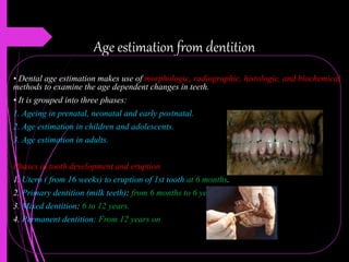 Forensic odontology ppt | PPTX | Dental Health | Diseases and Conditions