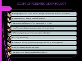 Forensic odontology ppt | PPTX | Dental Health | Diseases and Conditions