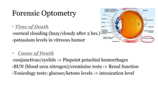 Forensic optometry | PPT