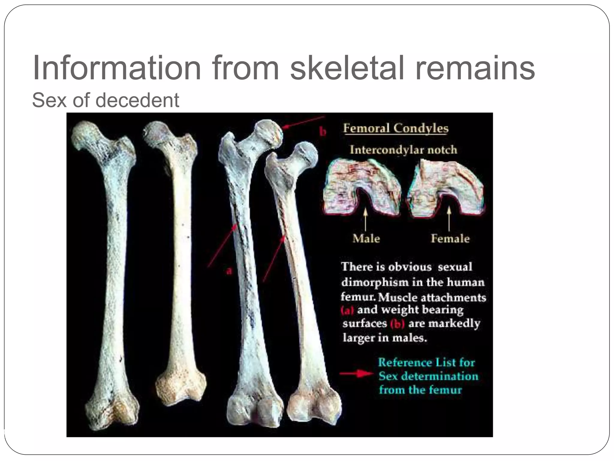 Forensic osteology | PPTX