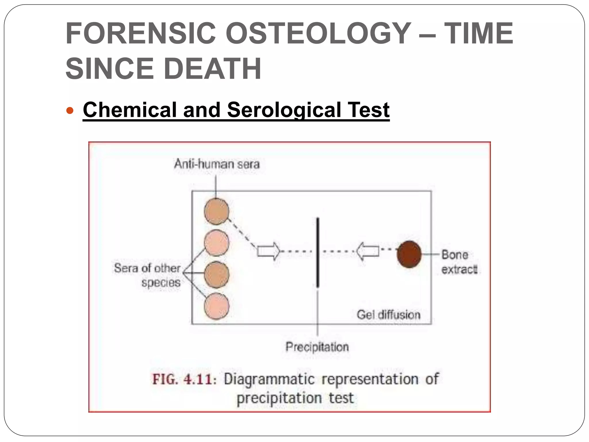 Forensic osteology | PPTX