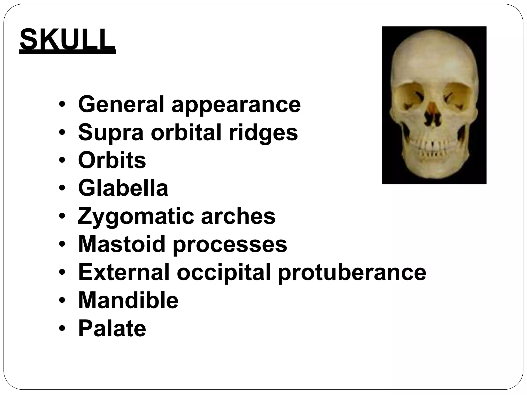 Forensic osteology | PPTX