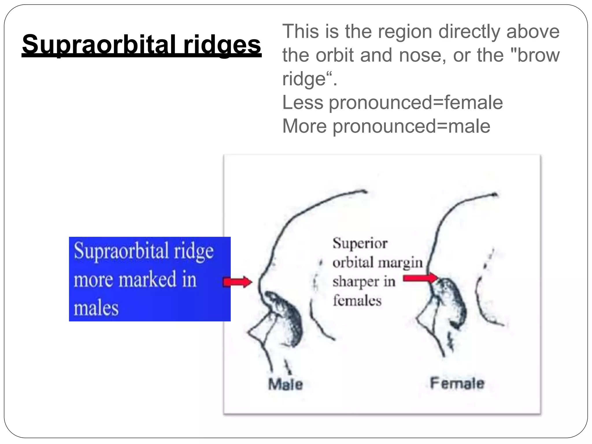 Forensic osteology | PPTX