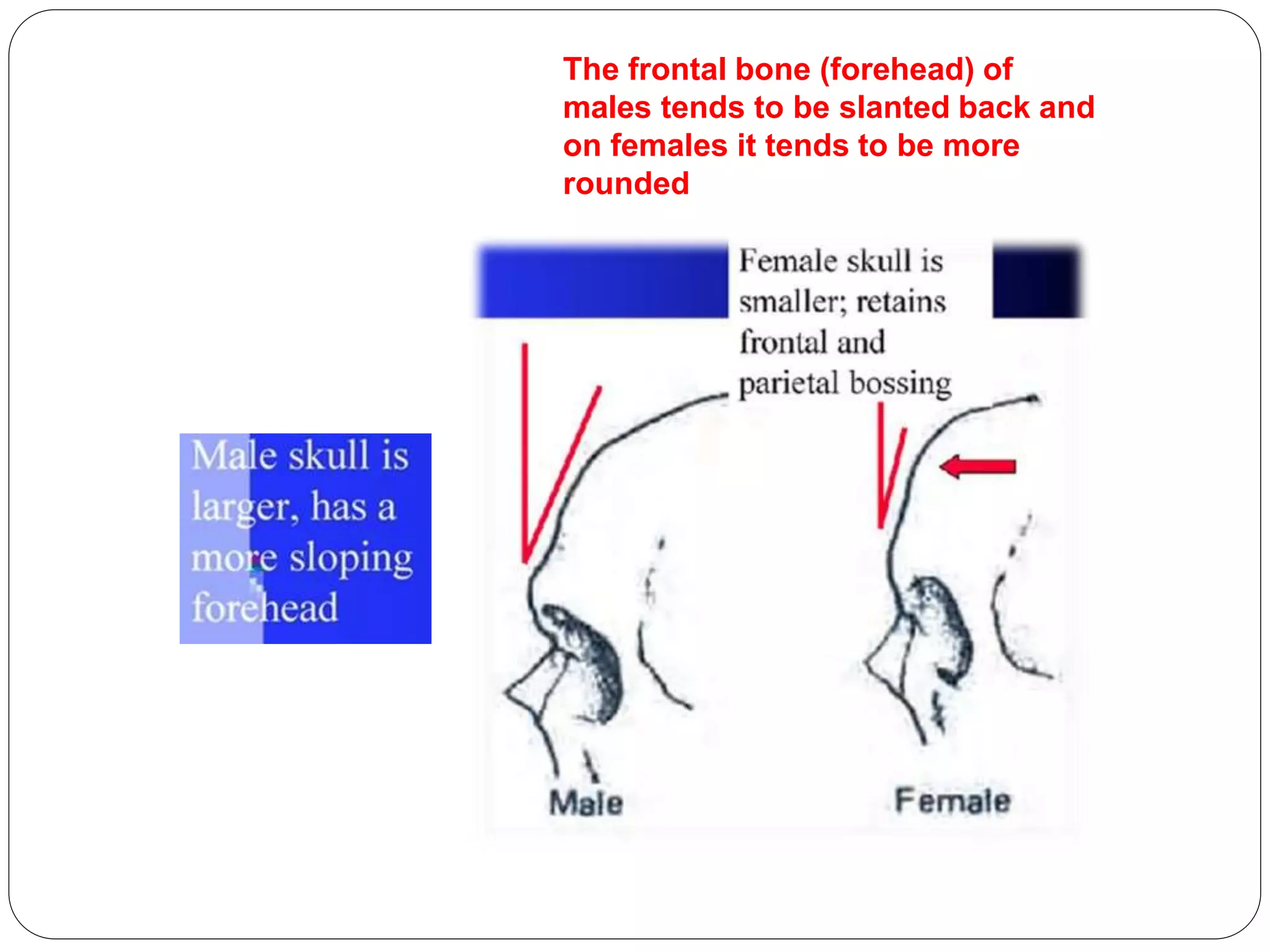 Forensic osteology | PPTX