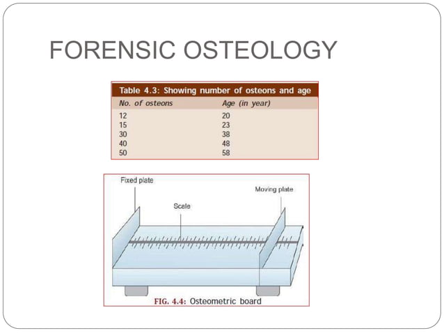 Forensic osteology | PPTX