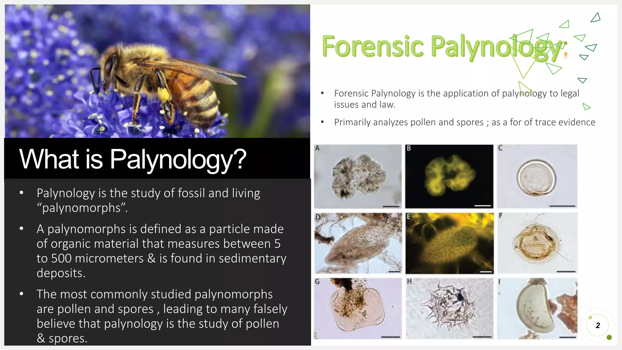 Forensic palynology | PPTX