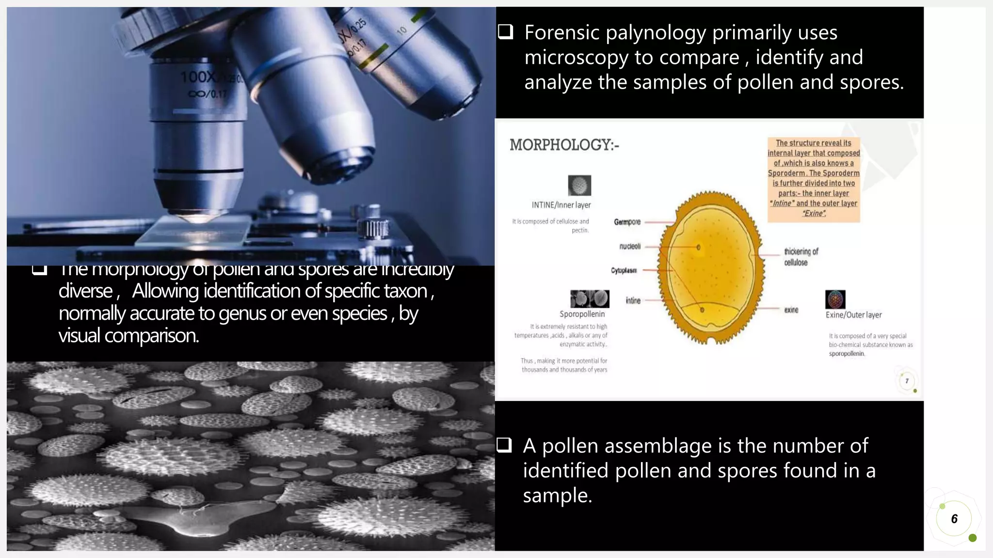 Forensic palynology | PPTX
