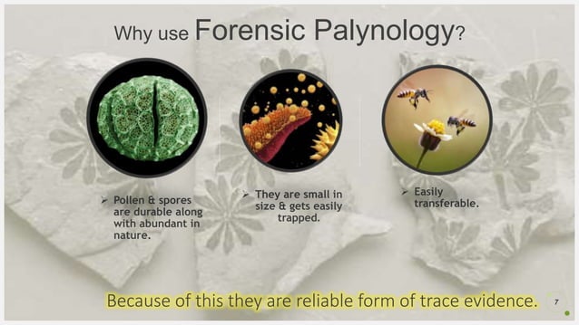 Forensic palynology | PPTX